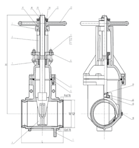 OS&Y GATE VALVE | MAF